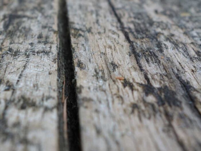 Prevent Damp in Your Log Cabin